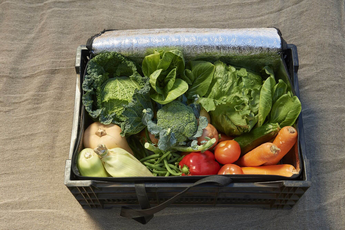 5 Ways to Keep Your Produce Fresher for Longer – Glavocich Produce