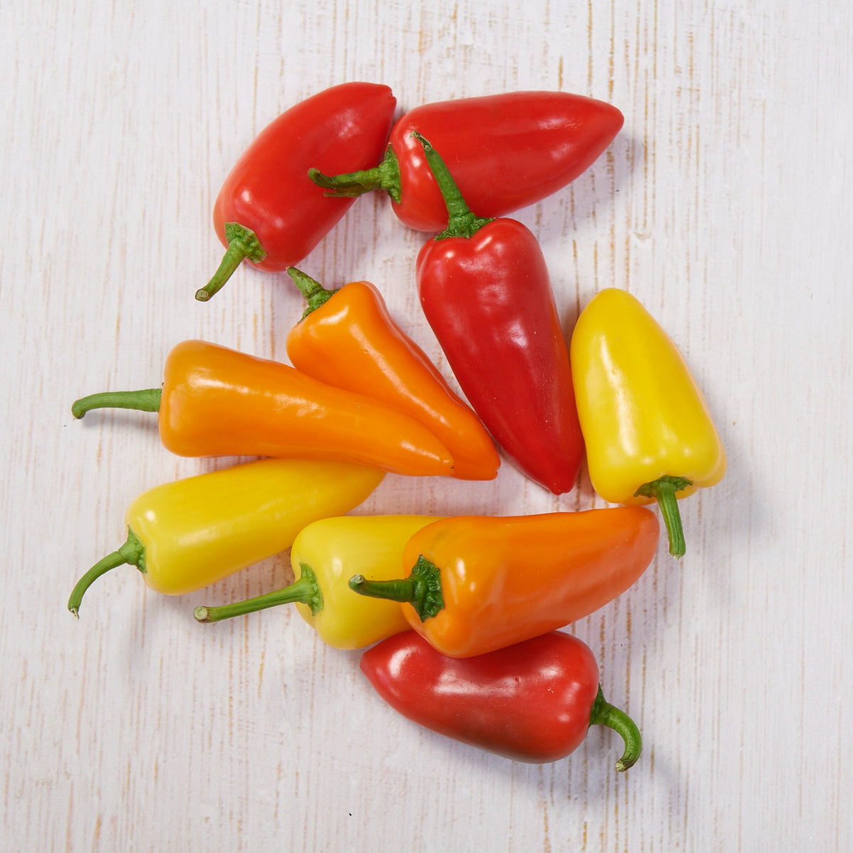 Mini capsicums (500g) – Glavocich Produce