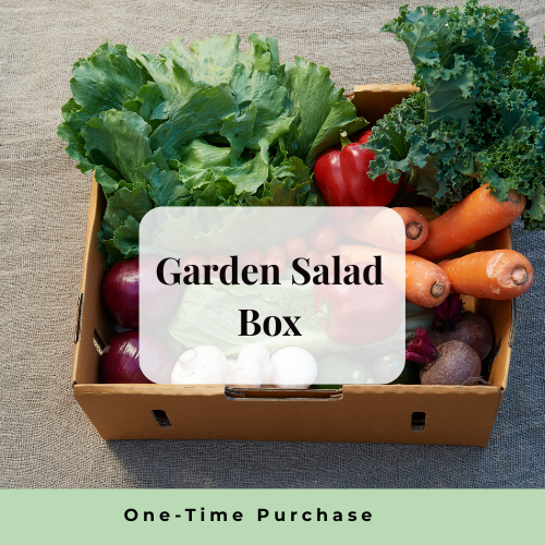 Garden Salad Box – Glavocich Produce