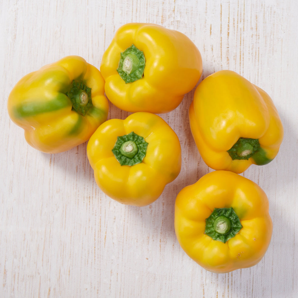 Yellow Capsicum – Glavocich Produce