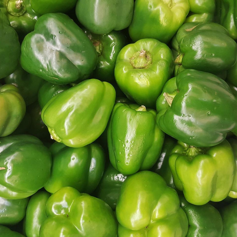 Green Capsicum Single – Glavocich Produce
