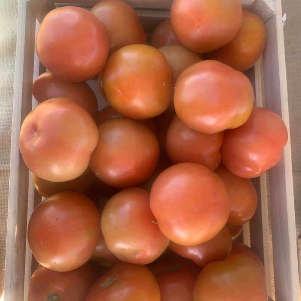 Tomatoes 1kg – Glavocich Produce